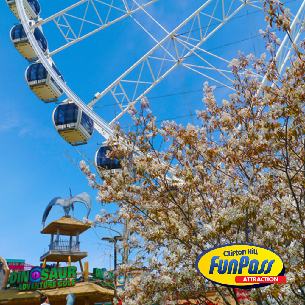 Top 10 Reasons To Ride The Niagara SkyWheel - Clifton Hill Blog