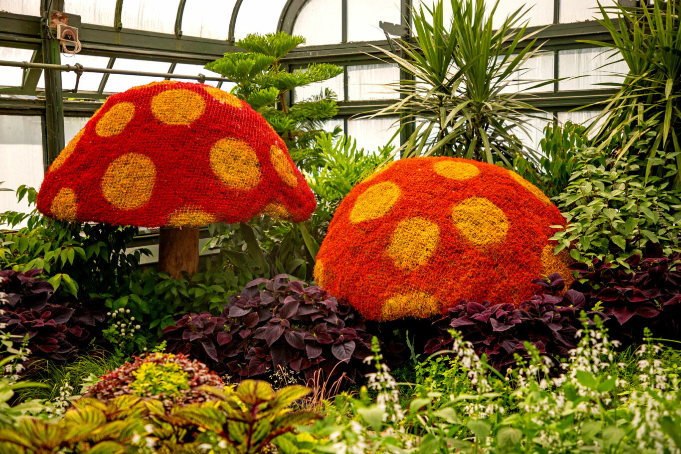 A Whimsical Experience at the Floral Showhouse: Connecting Art and ...