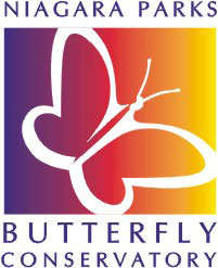 Butterfly Conservatory | Clifton Hill, Niagara Falls