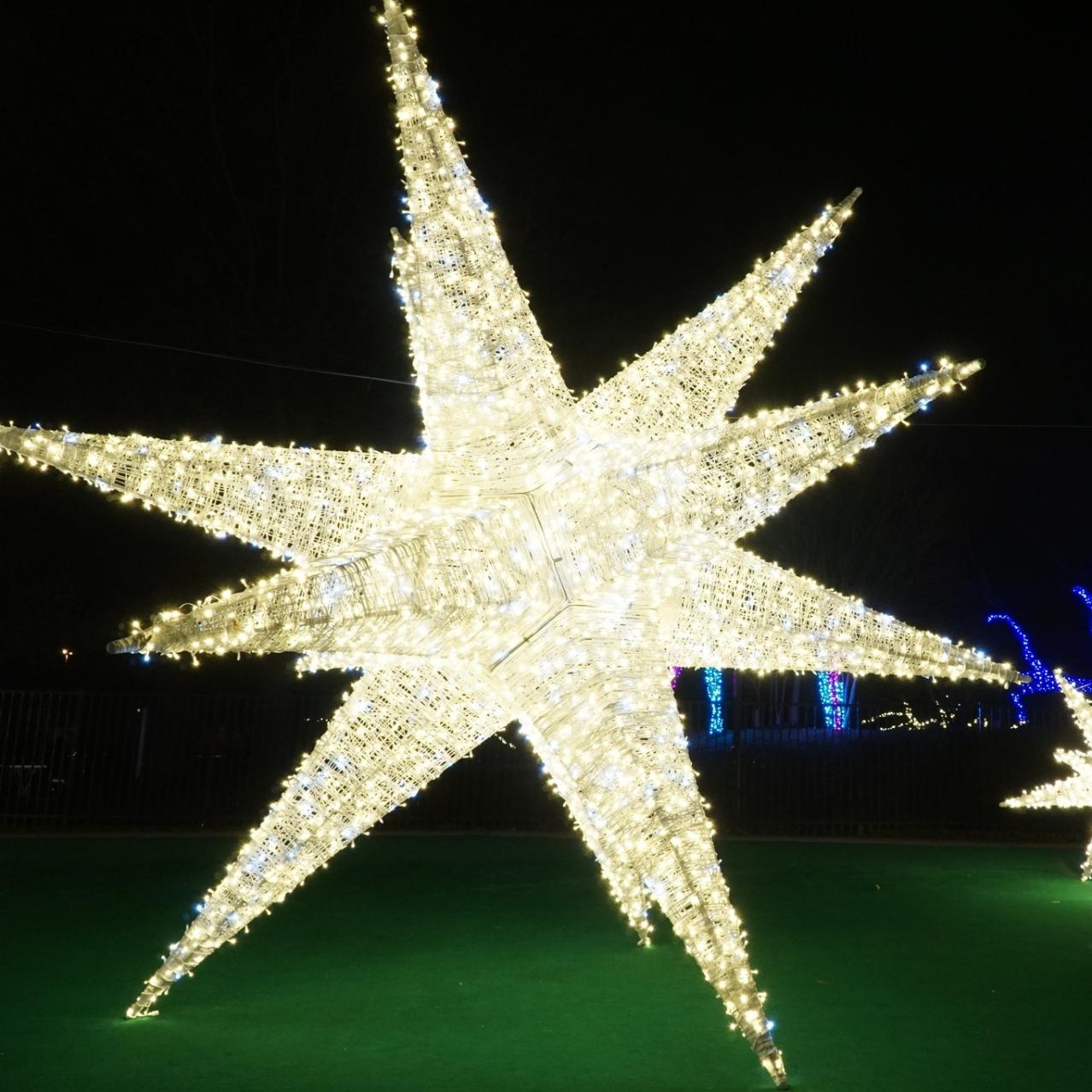 Safari Lights at Safari Niagara Safari Niagara