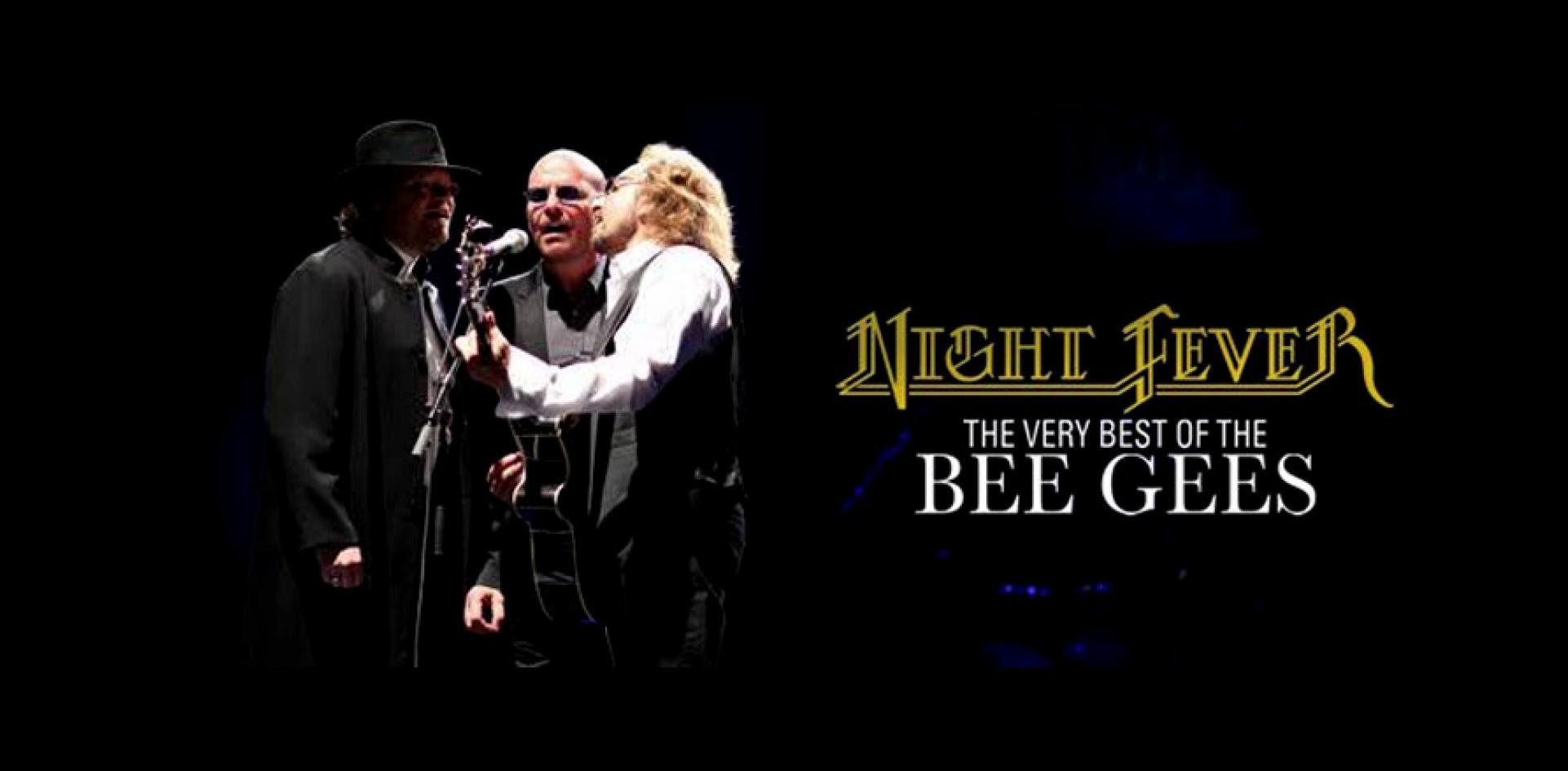 Bee Gees Night Fever