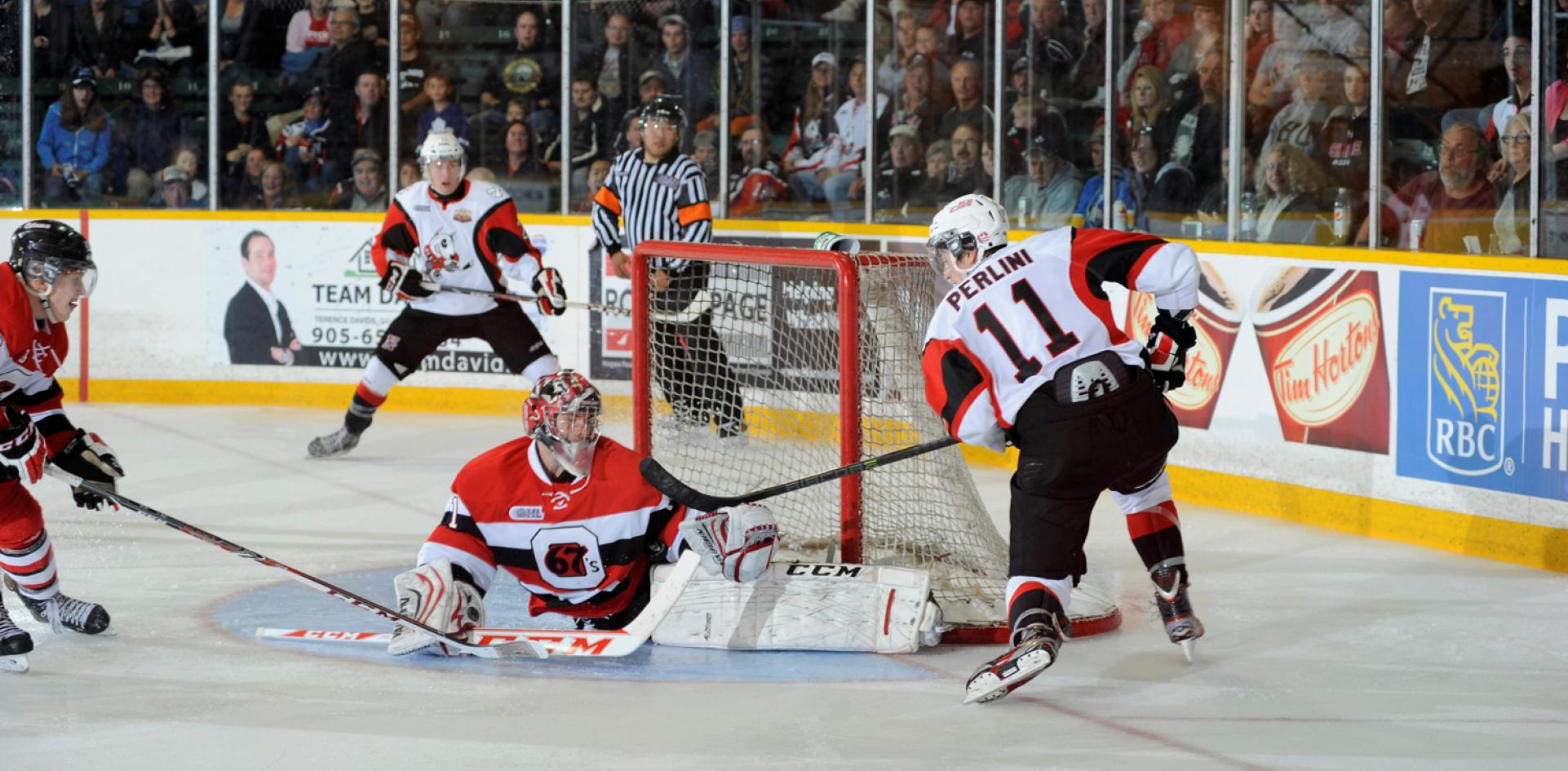 Niagara IceDogs | Clifton Hill, Niagara Falls Canada